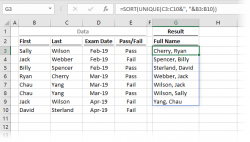 UNIQUE function in Excel (How to + 6 Examples)