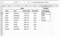 UNIQUE function in Excel (How to + 6 Examples)