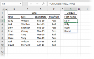 UNIQUE function in Excel (How to + 6 Examples)