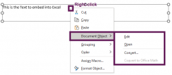 5 quick ways to embed a Word document in Excel